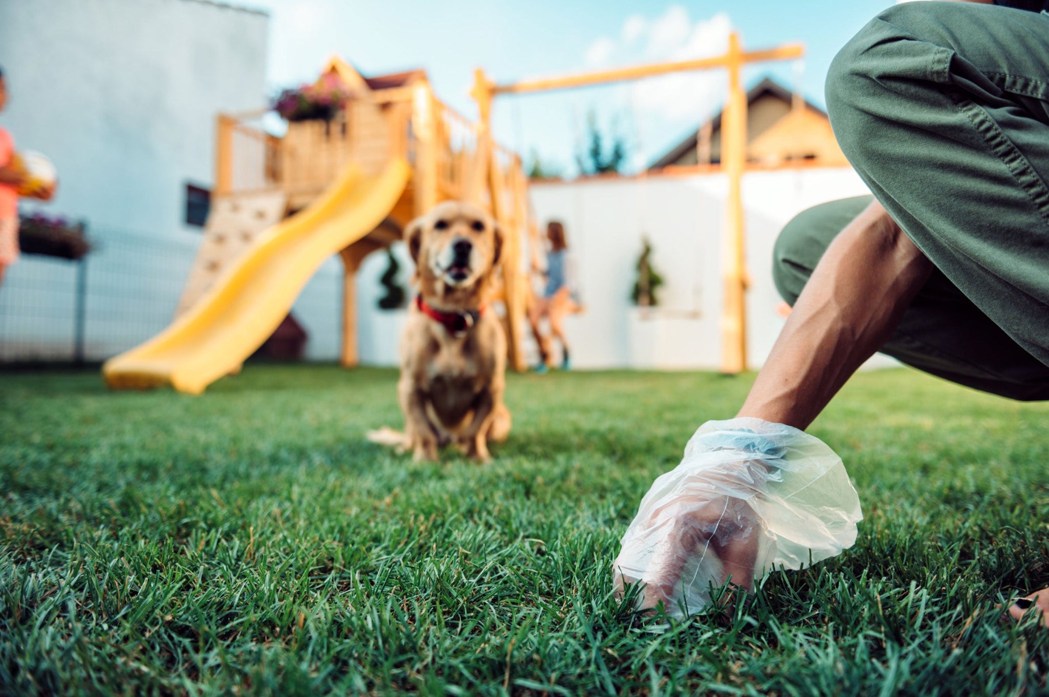 Why Dogs Eat Feces and How to Stop This Unpleasant Habit