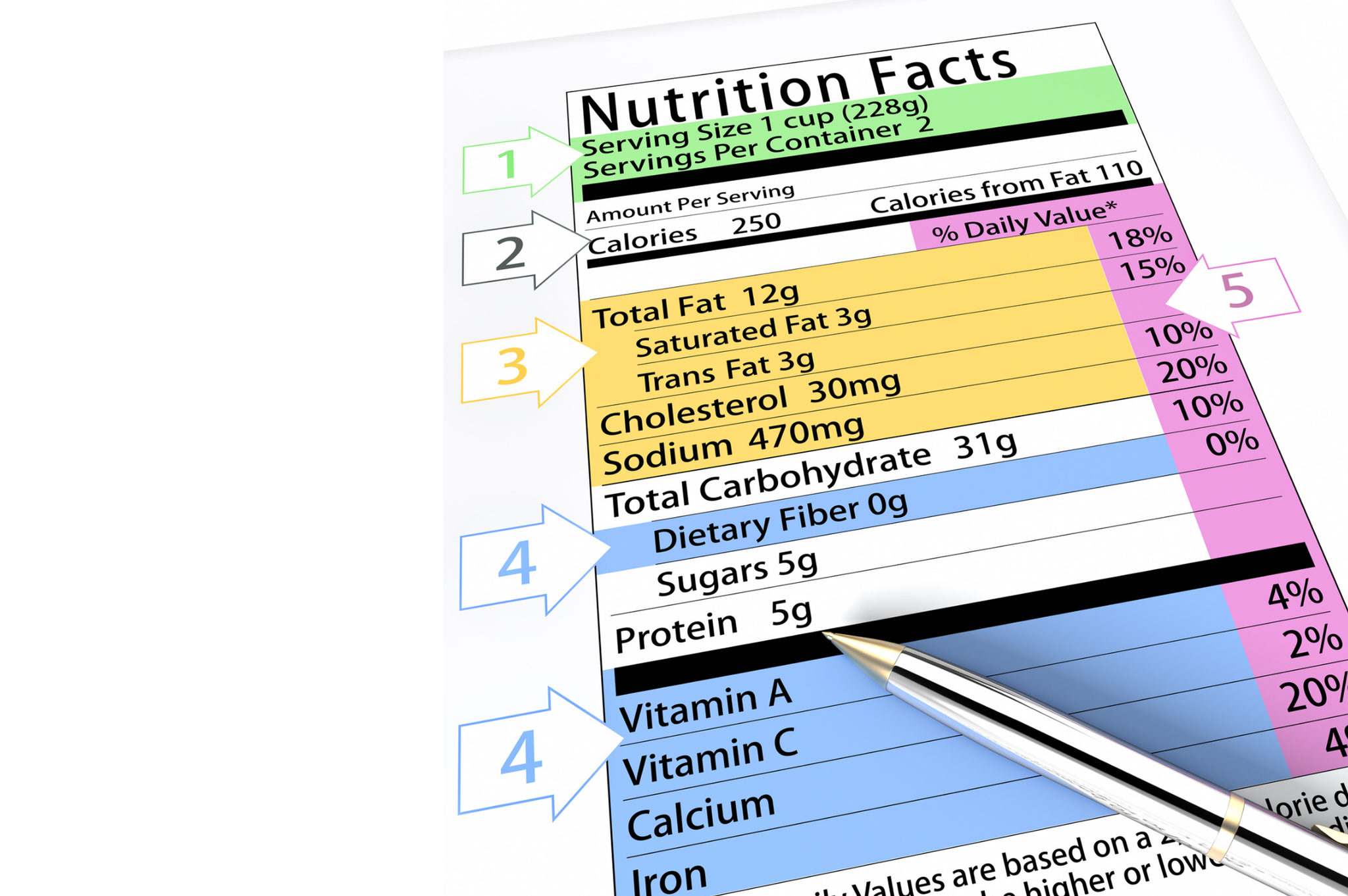 Deciphering Pet Food Labels: A Guide to Making Informed Choices