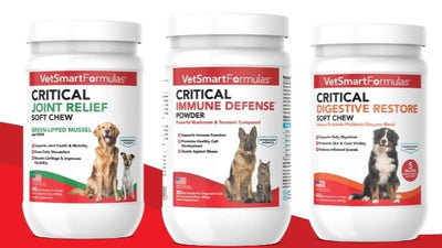 Pet Wellness Products - Pet Wellness Direct