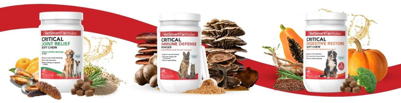 Pet Wellness Products - Pet Wellness Direct