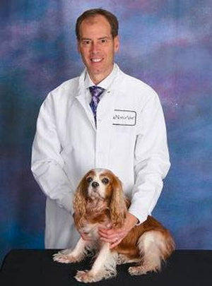 Critical Immune Defense for Dogs - LP1