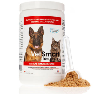 Critical Immune Defense for Dogs and Cats – Pet Wellness Direct