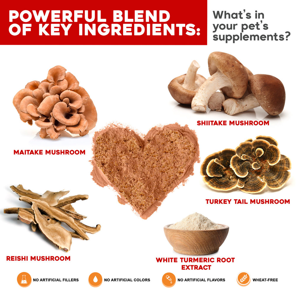 Critical Immune Defense for Dogs and Cats – Pet Wellness Direct